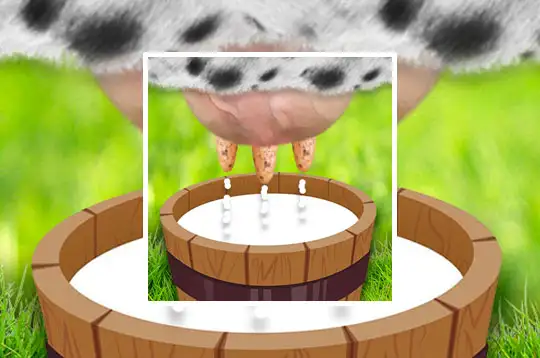 Milk The Cow on Culga Games